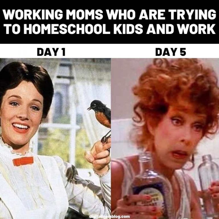 The Best Work From Home Memes - Moneywise Moms - Easy Family Recipes