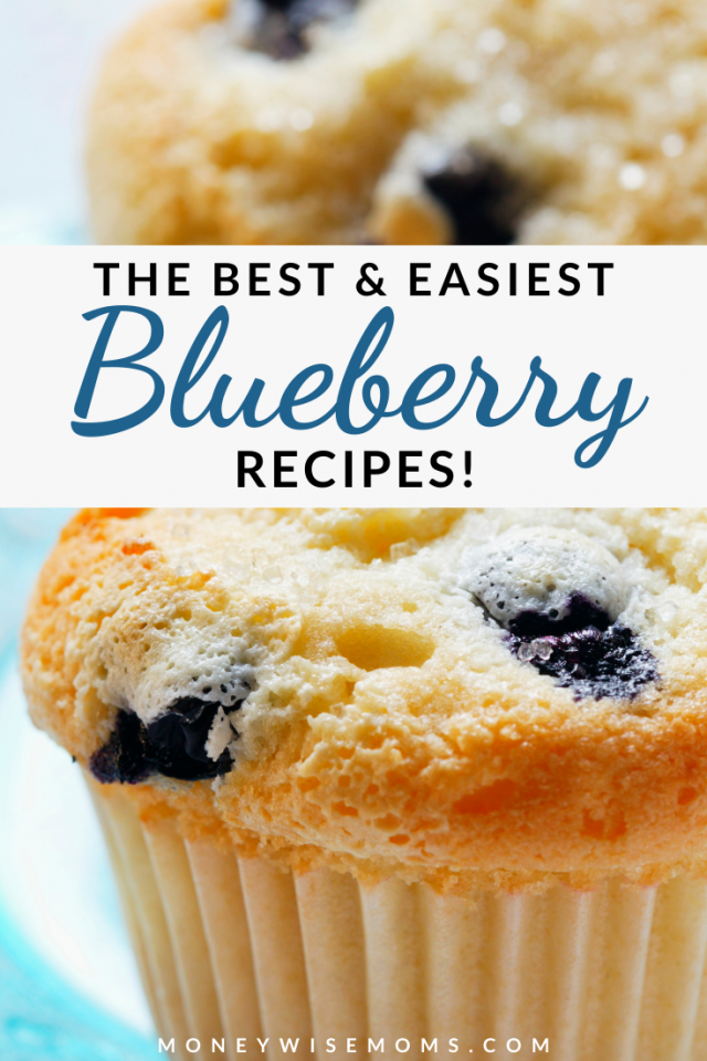 The Best Easy Blueberry Recipes - Moneywise Moms - Easy Family Recipes
