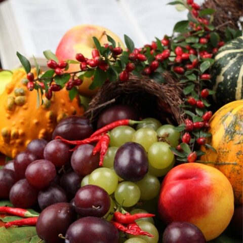 Recipe for Lemon Pepper Chicken - Moneywise Moms - Easy Family Recipes