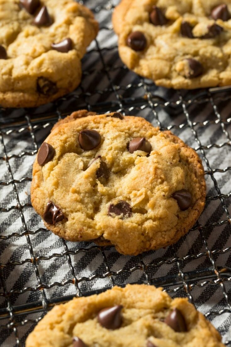 Homemade Chocolate Chip Cookie Recipe - Moneywise Moms - Easy Family ...