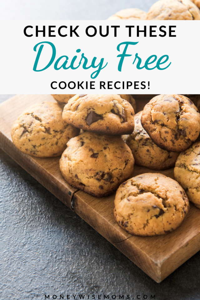 The Best Dairy Free Cookies - Moneywise Moms