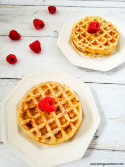 Homemade Mini Waffle Recipe - Moneywise Moms - Easy Family Recipes