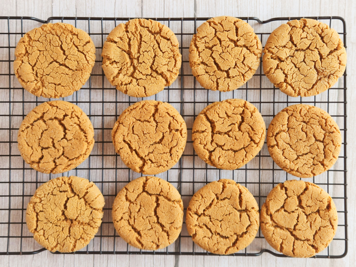 Homemade Gingerbread Cookies for Christmas - Moneywise Moms