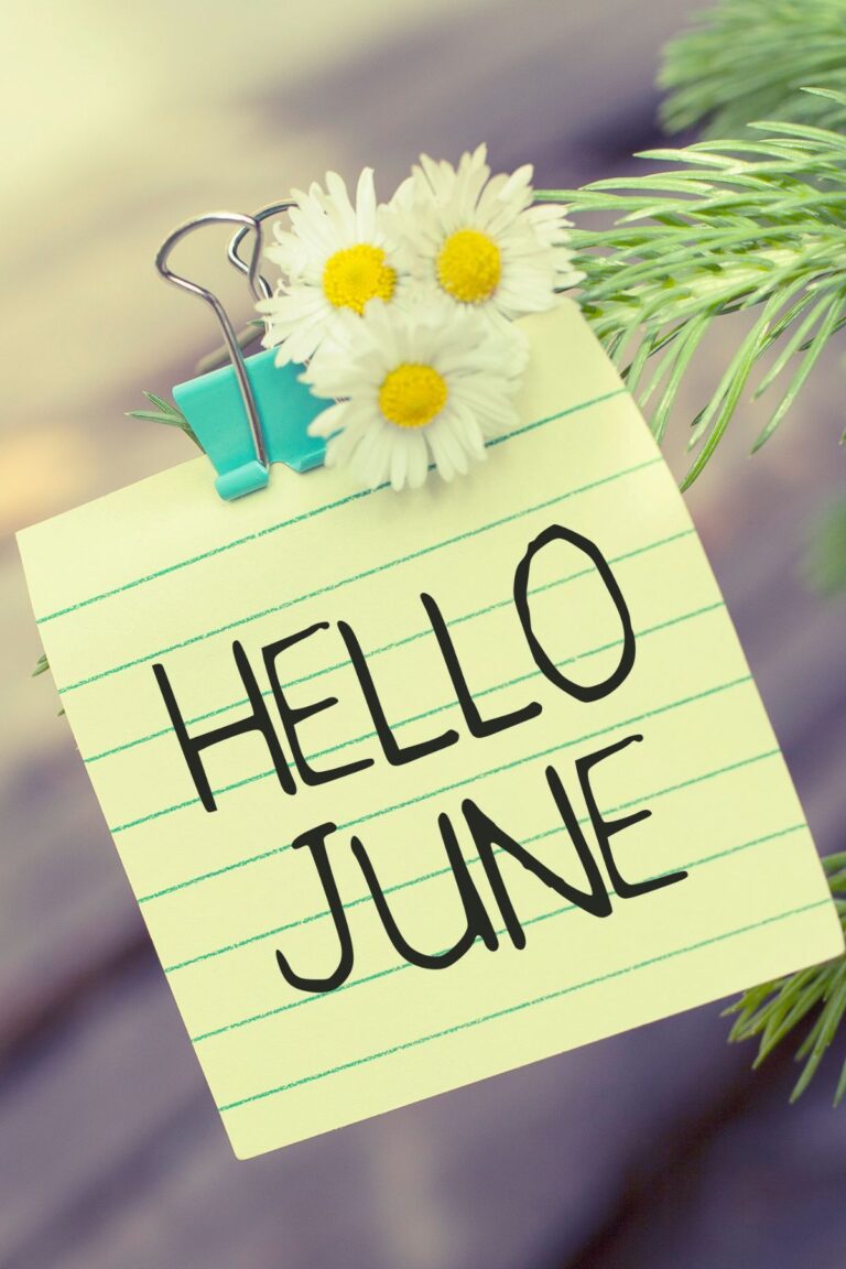 June Free Printable Calendar 2024 - Moneywise Moms - Easy Family Recipes